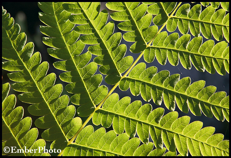 Vermont – Misc Scenes | EmberPhoto